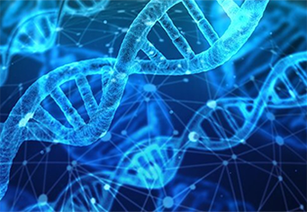 Chem21Labs - online lab submission.